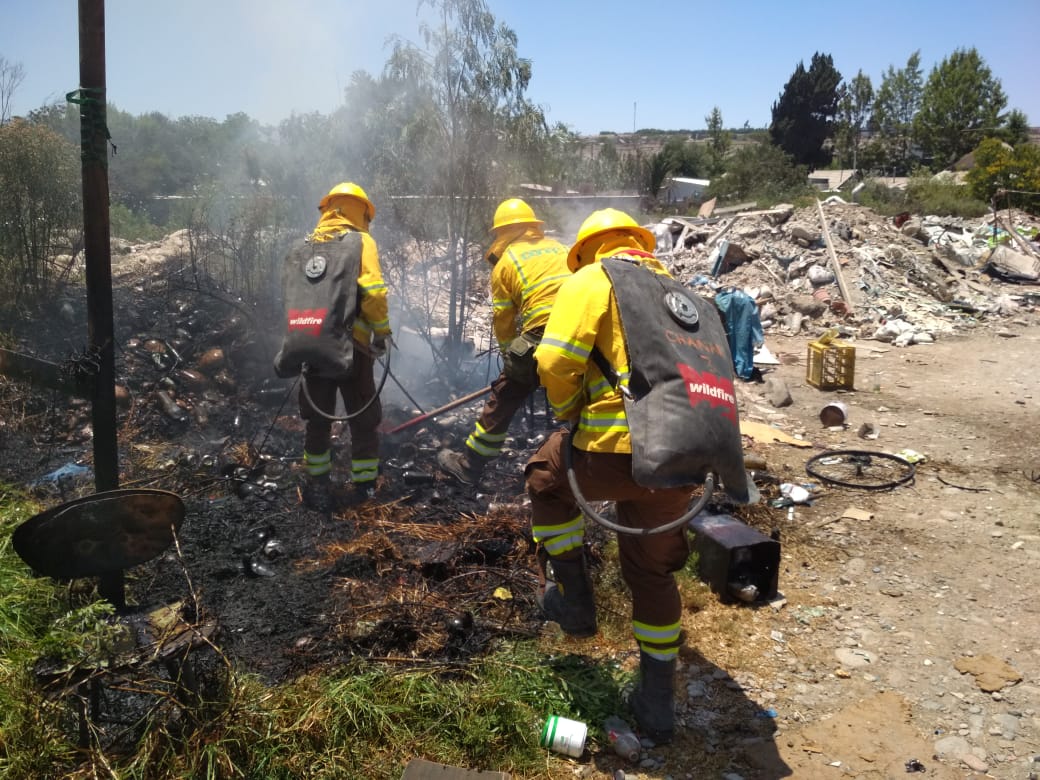 Conaf toma medidas para el resguardo de sus funcionarios y usuarios ...